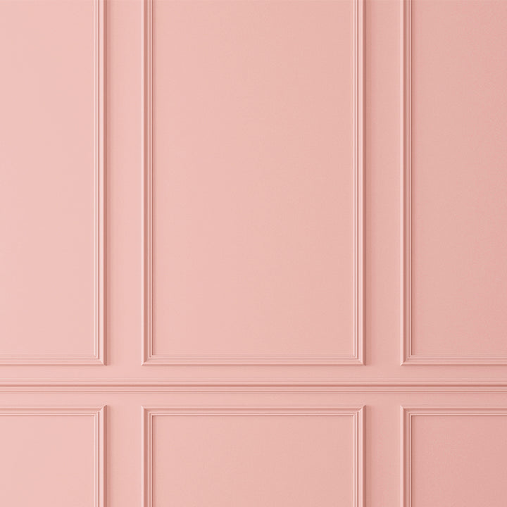 Toda la Colección – Fondo Studio